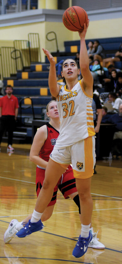 Vikings out of MCC’s reach | News, Sports, Jobs - Times Republican